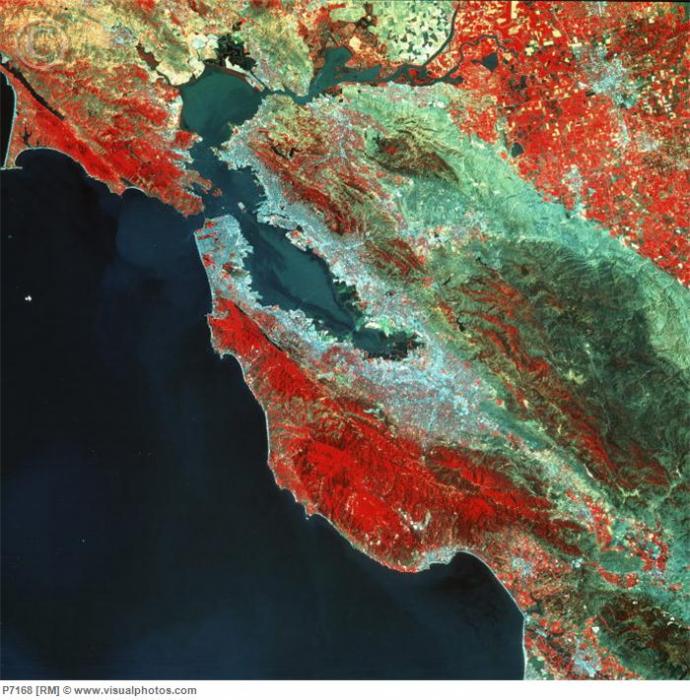 Disruptive Thinking, 6 Innovative Microclimates, and Leadership for ...